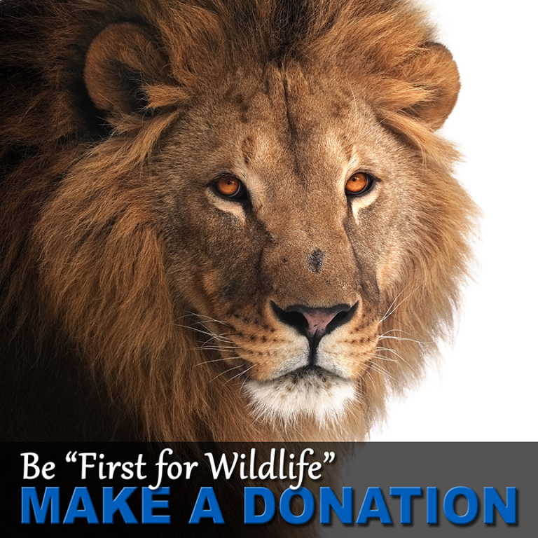 Shop - Safari Club International Foundation