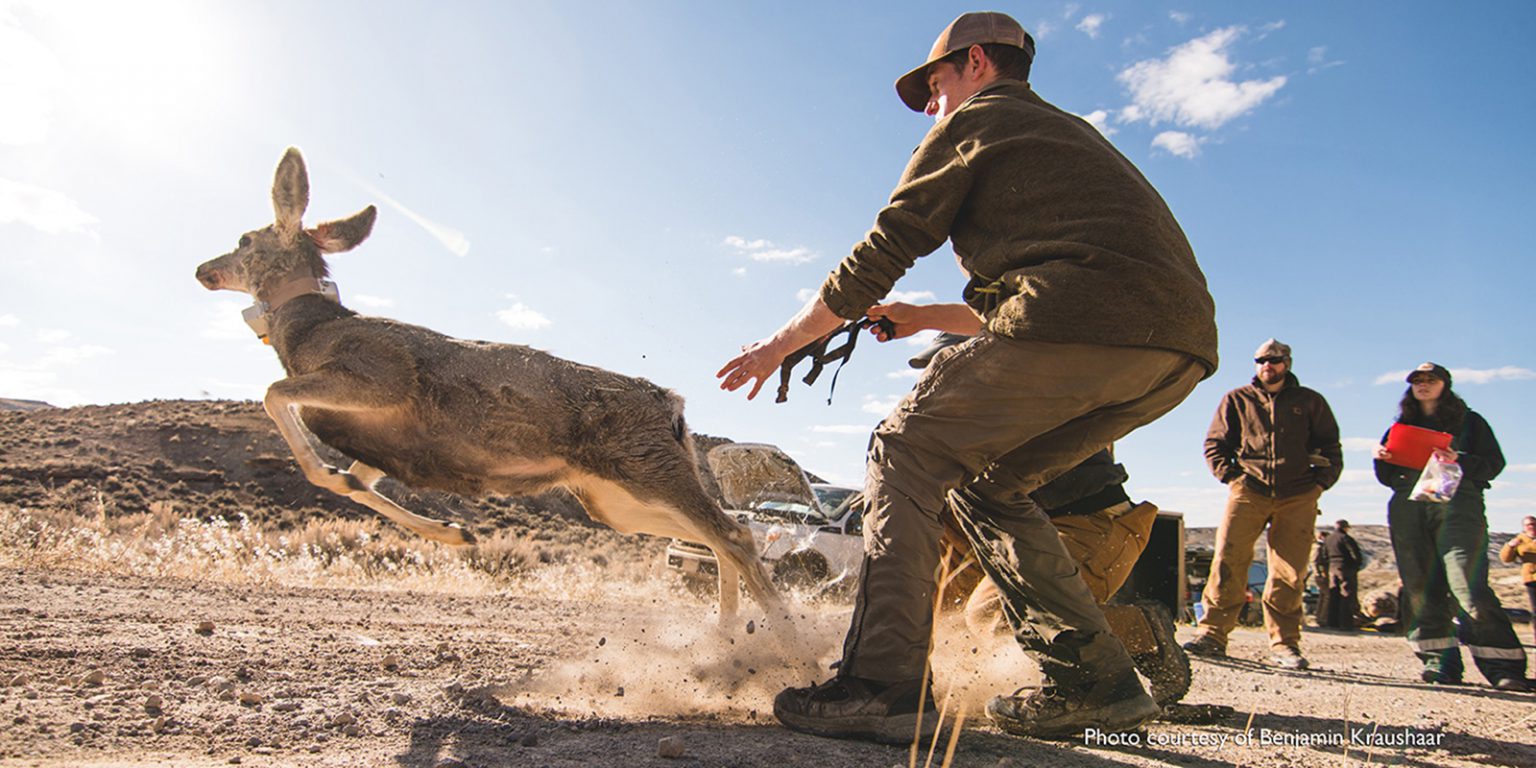 Home - Safari Club International Foundation