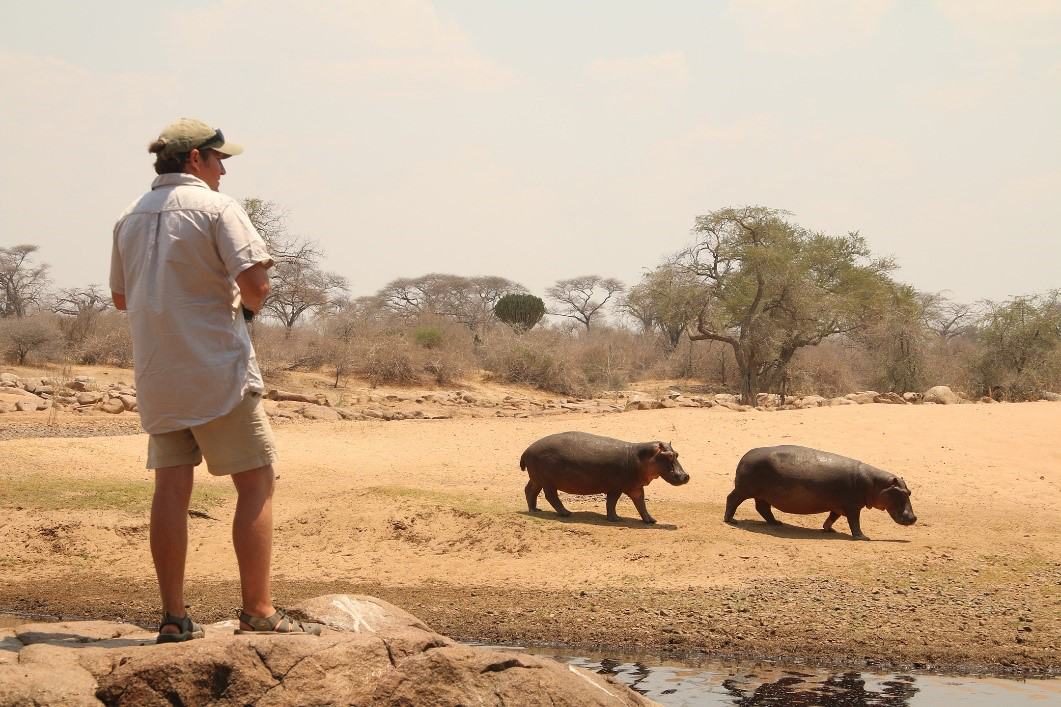 SCI Foundation Supports Research on Hippo Conservation - Safari Club ...