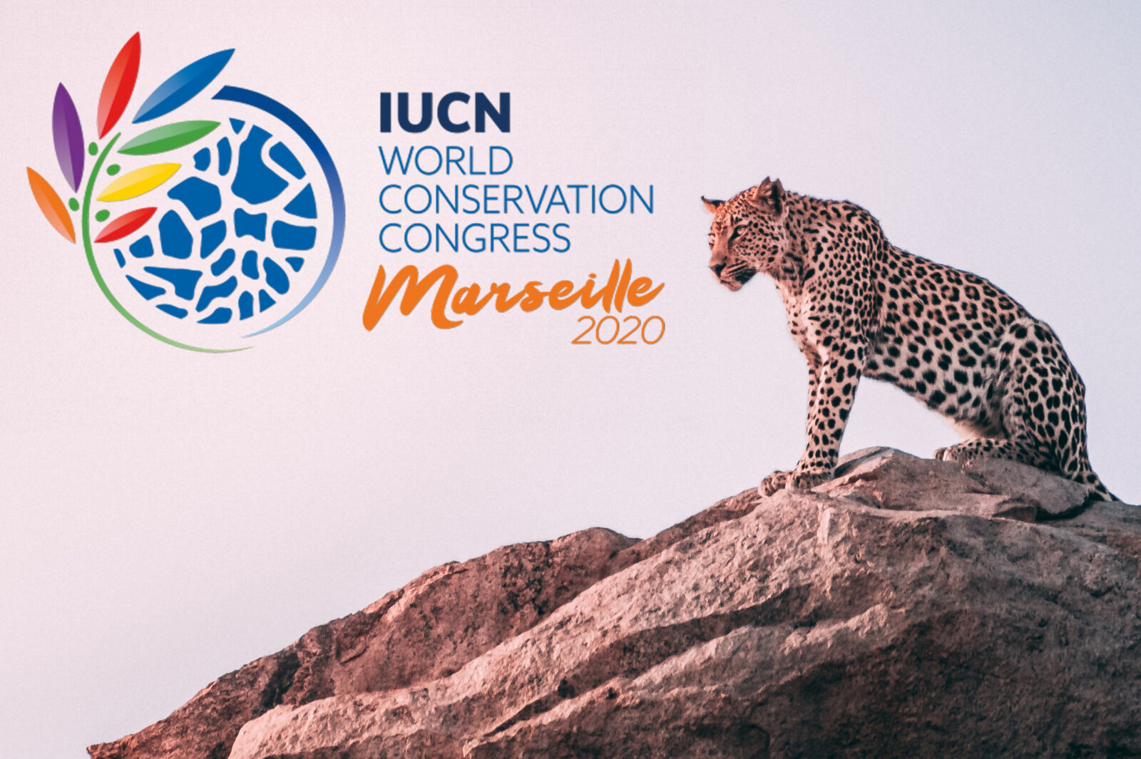 SCIF Remains Engaged In IUCN Activity During World Conservation ...