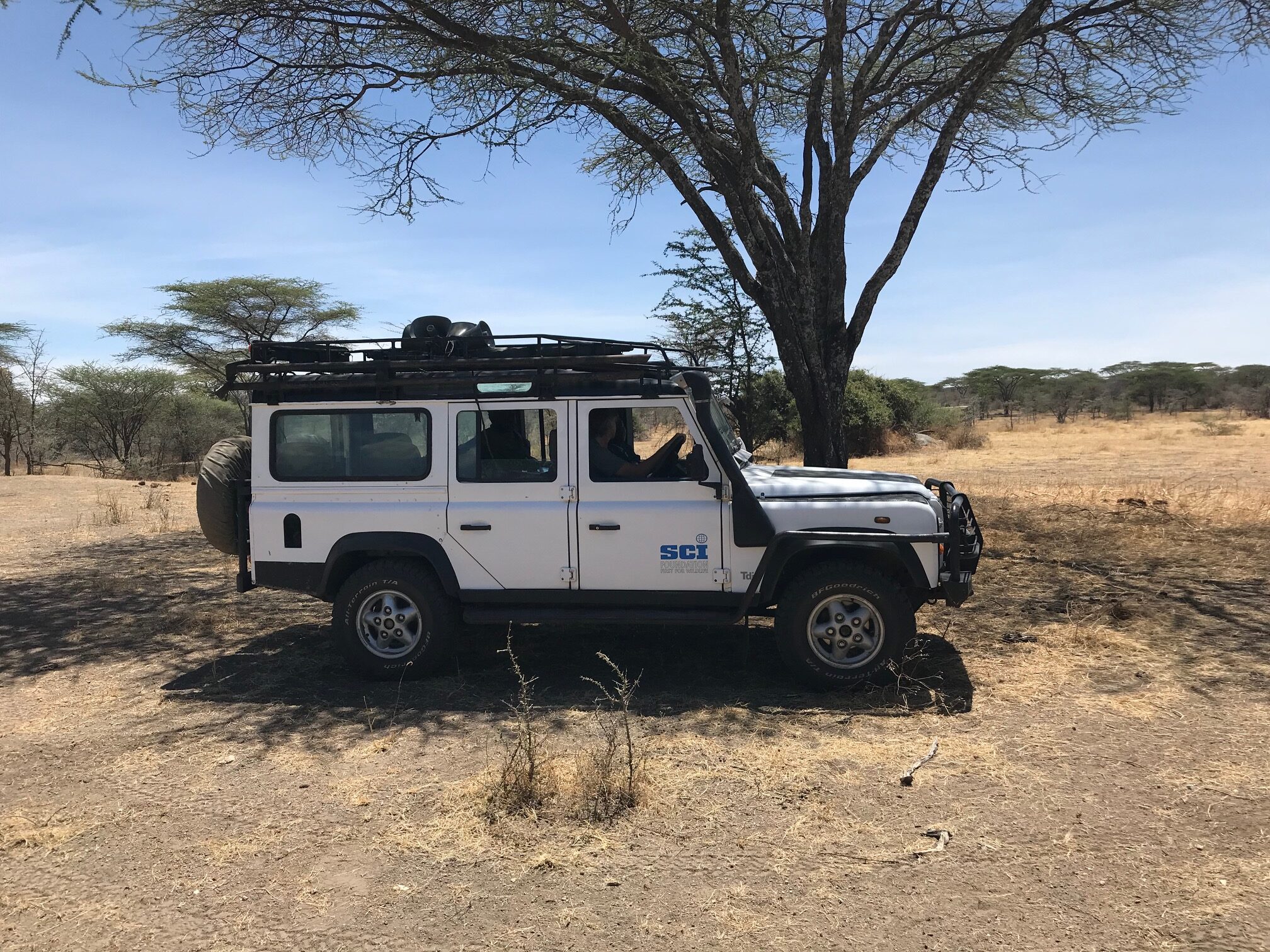 SCIF Lion Project Continues to Improve Management - Safari Club ...